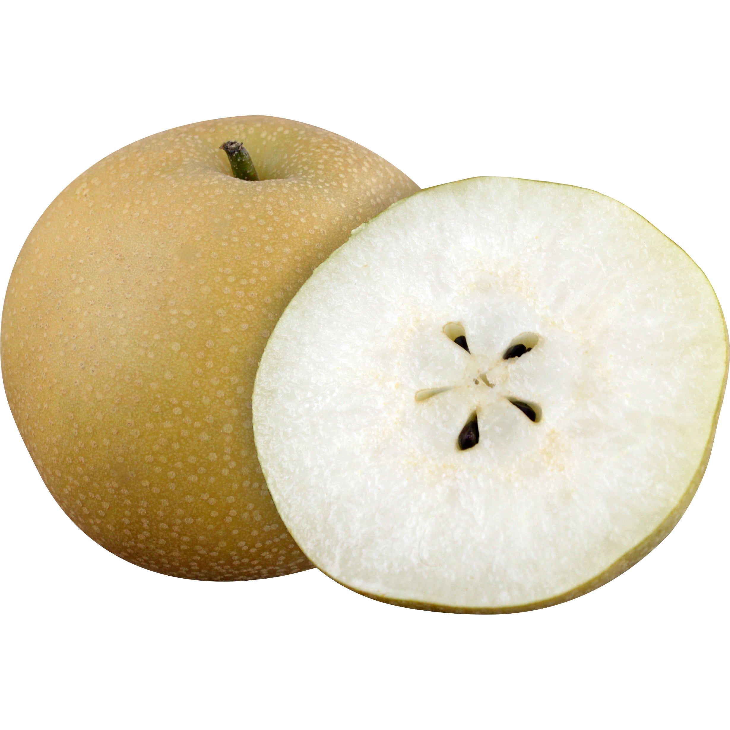 Asian Pear New Crop 3.5 lbs (#30961) - $6.99 (down from $12.99)