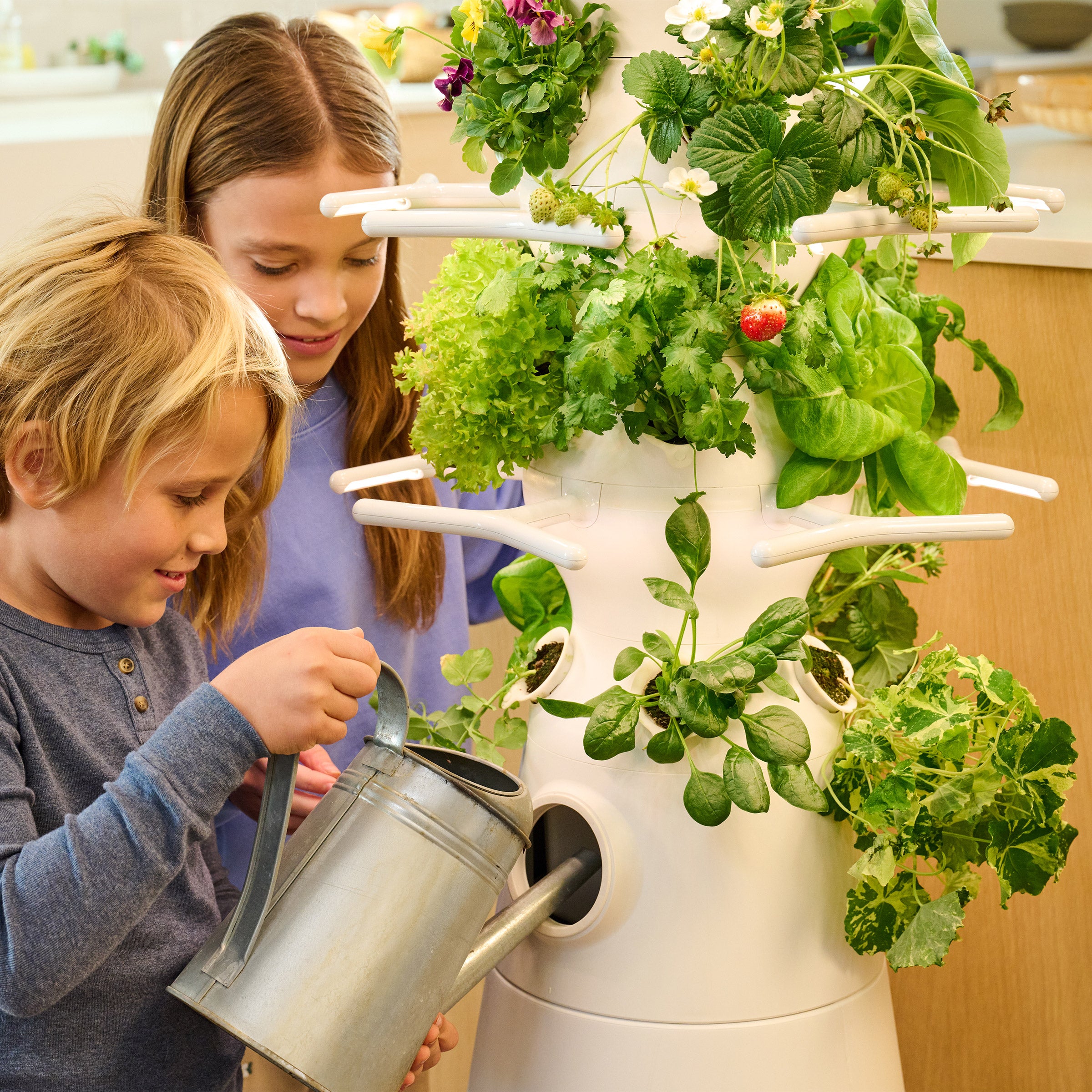 Lettuce Grow Farmstand Nook Indoor Hydroponic Tower - $549.99 at Costco