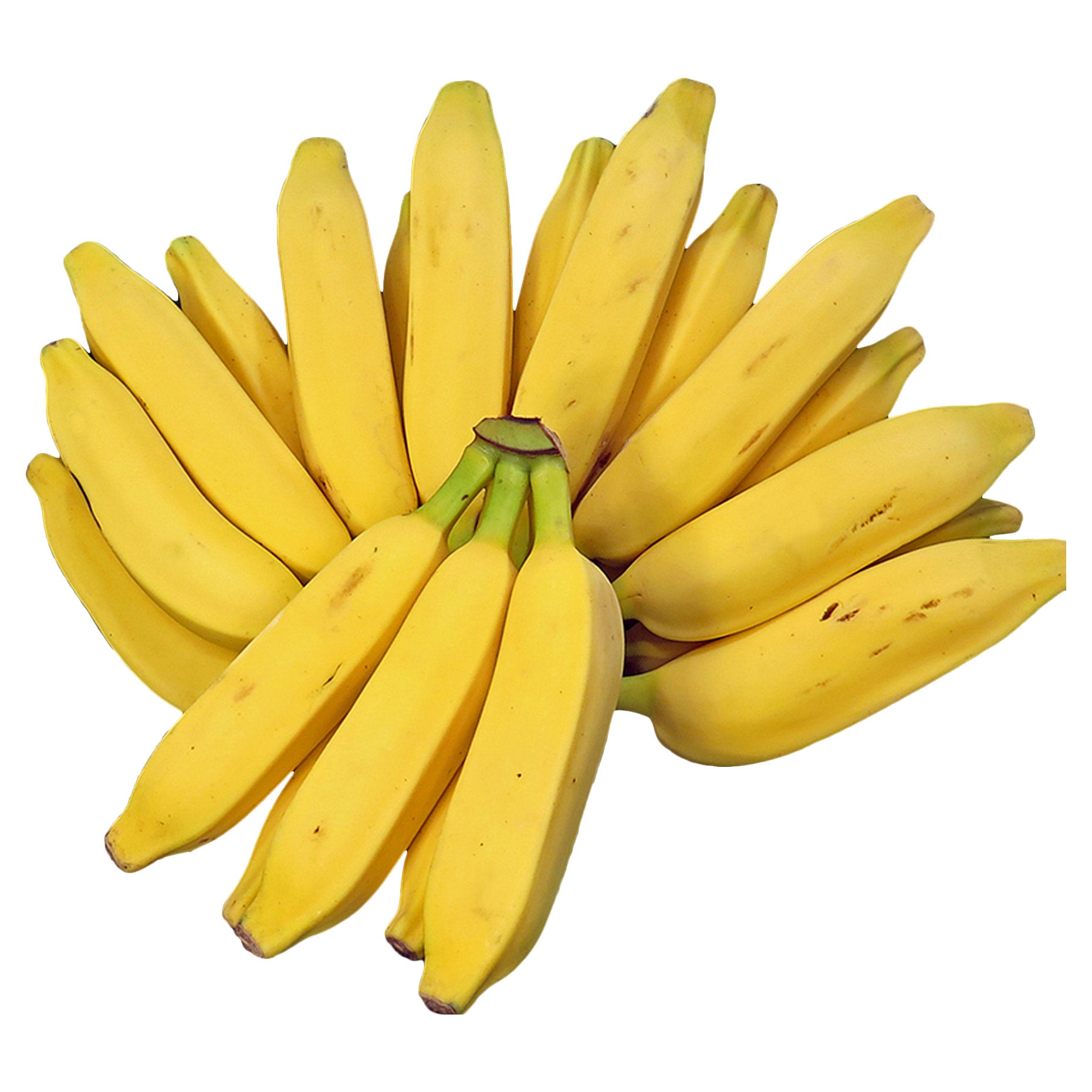 Apple Bananas, 3 lbs, Grown in Hawaii (#860686) - $5.49 (down from $5.99)