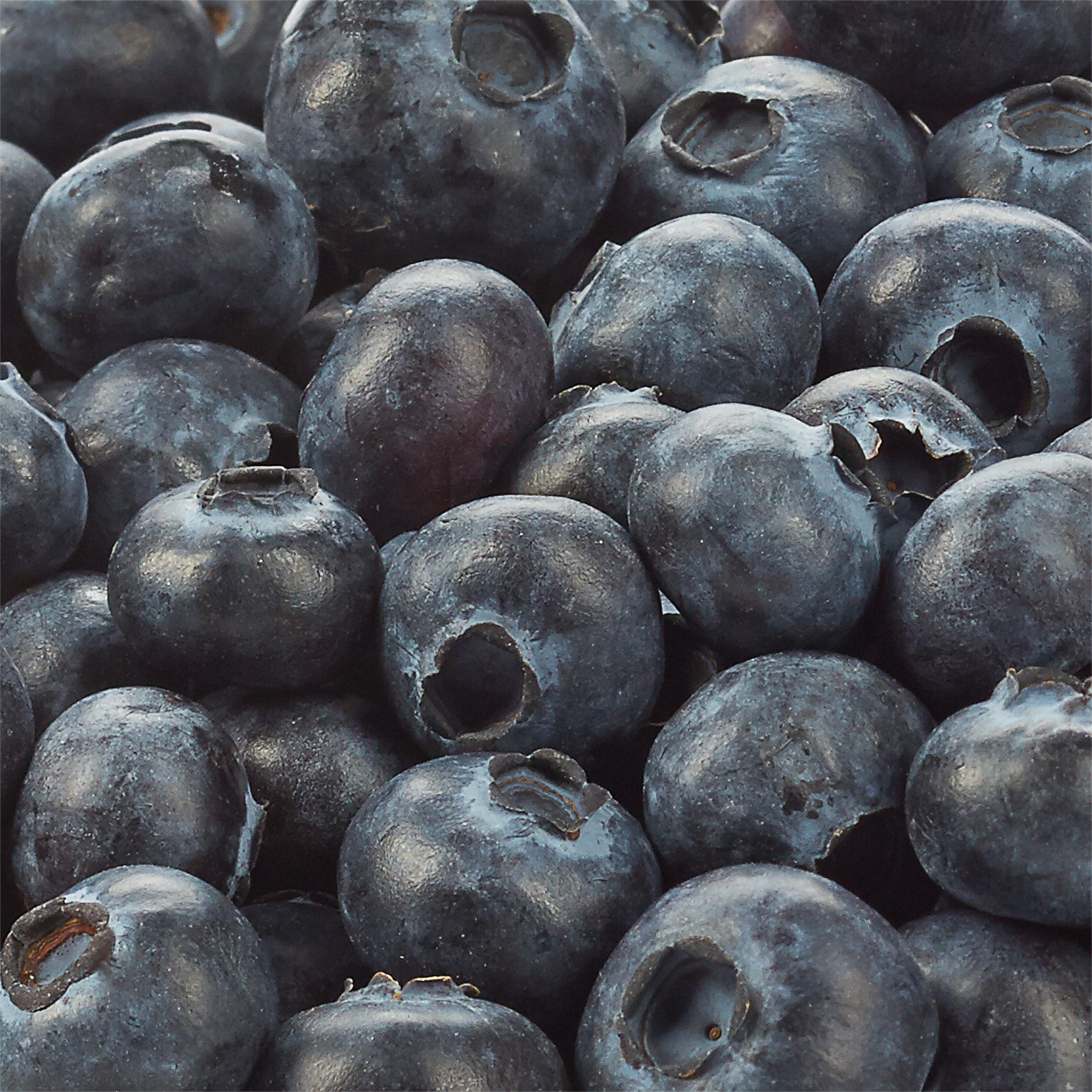 Fresh Blueberries, 18 oz - $4.99 at Costco