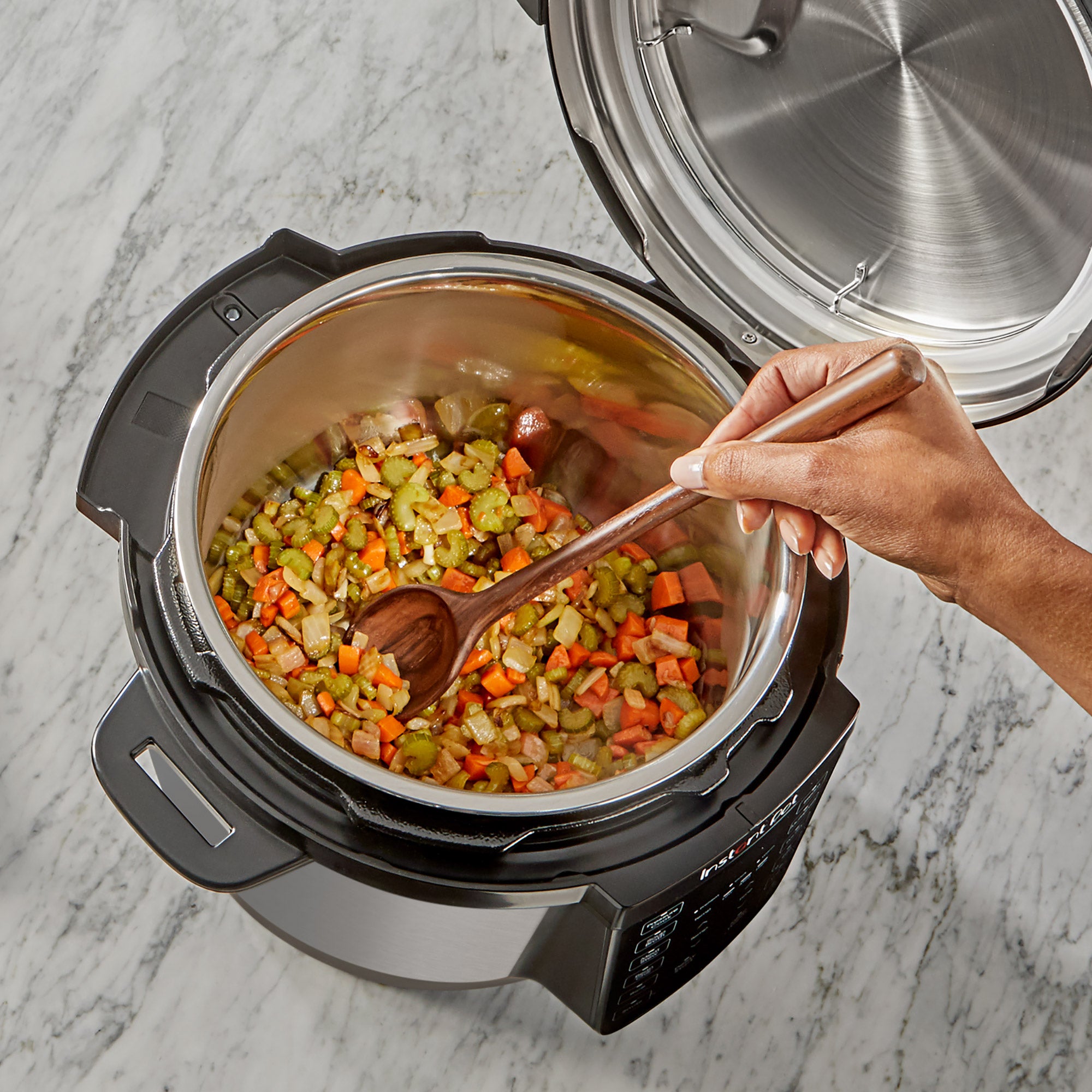 Instant Pot 6 QT RIO Gourmet Electric Pressure Cooker Stainless Steel ...