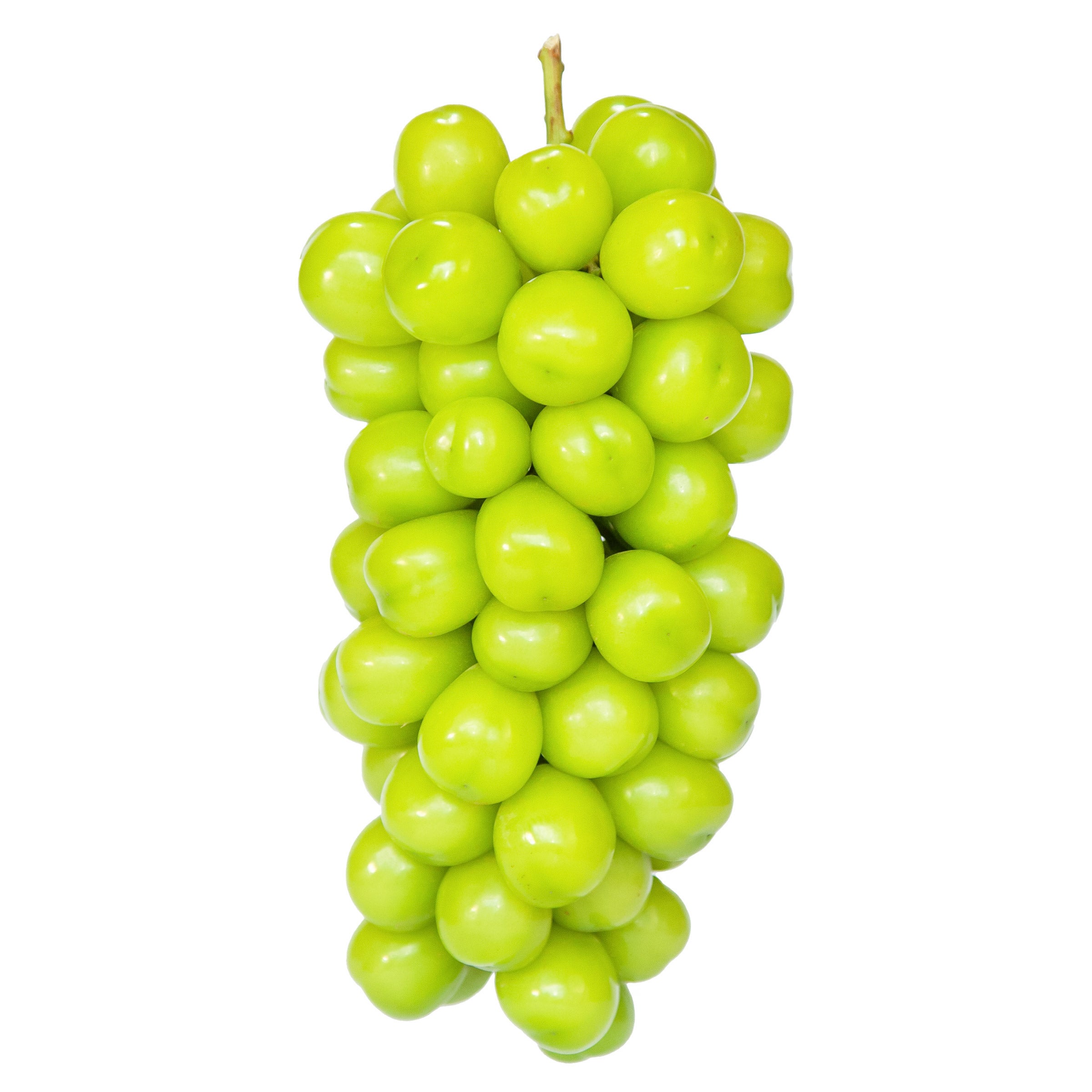 Korean Shine Muscat Grapes, 600 Grams - $7.49 at Costco