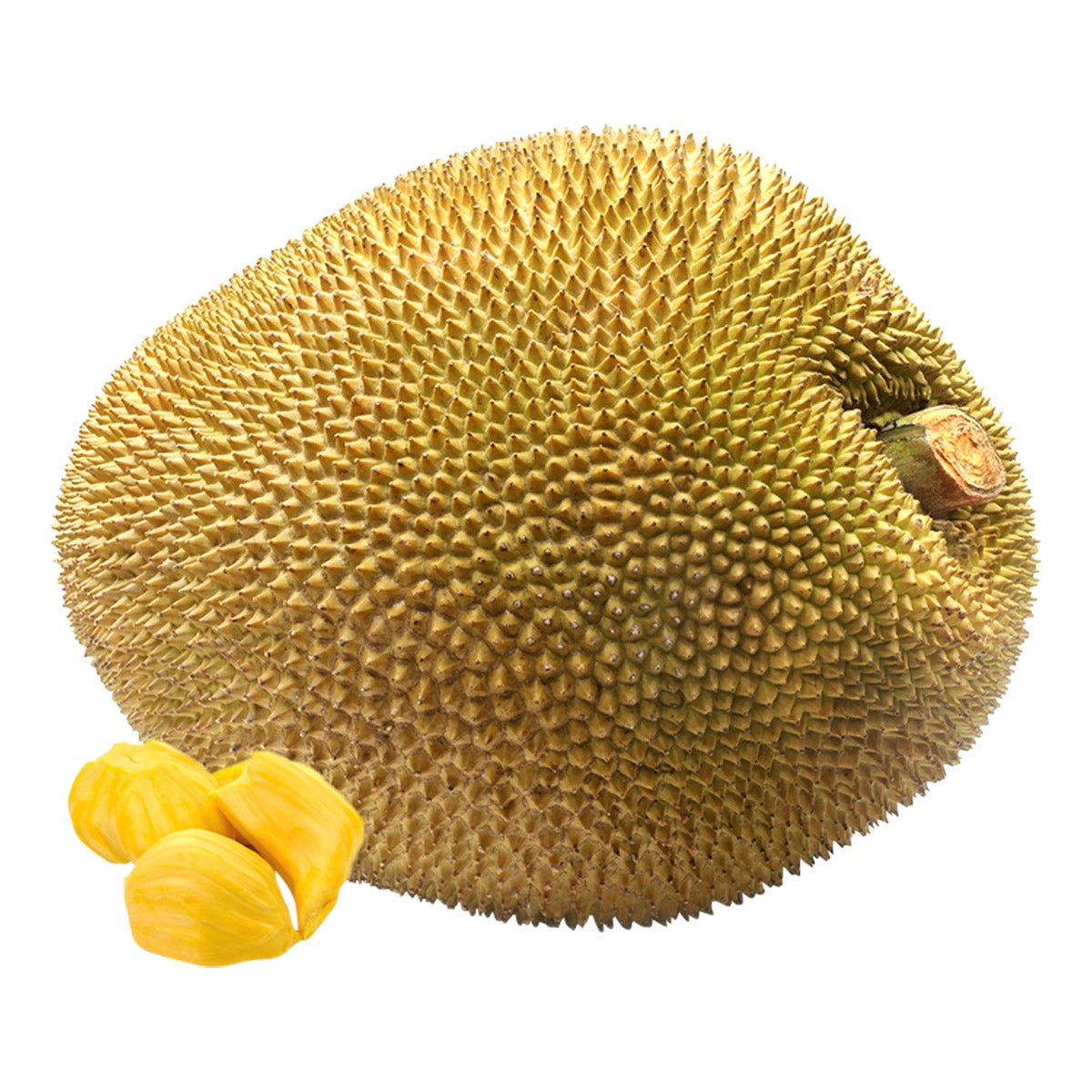 Fresh Jackfruit (Each) (#4871) - $12.99
