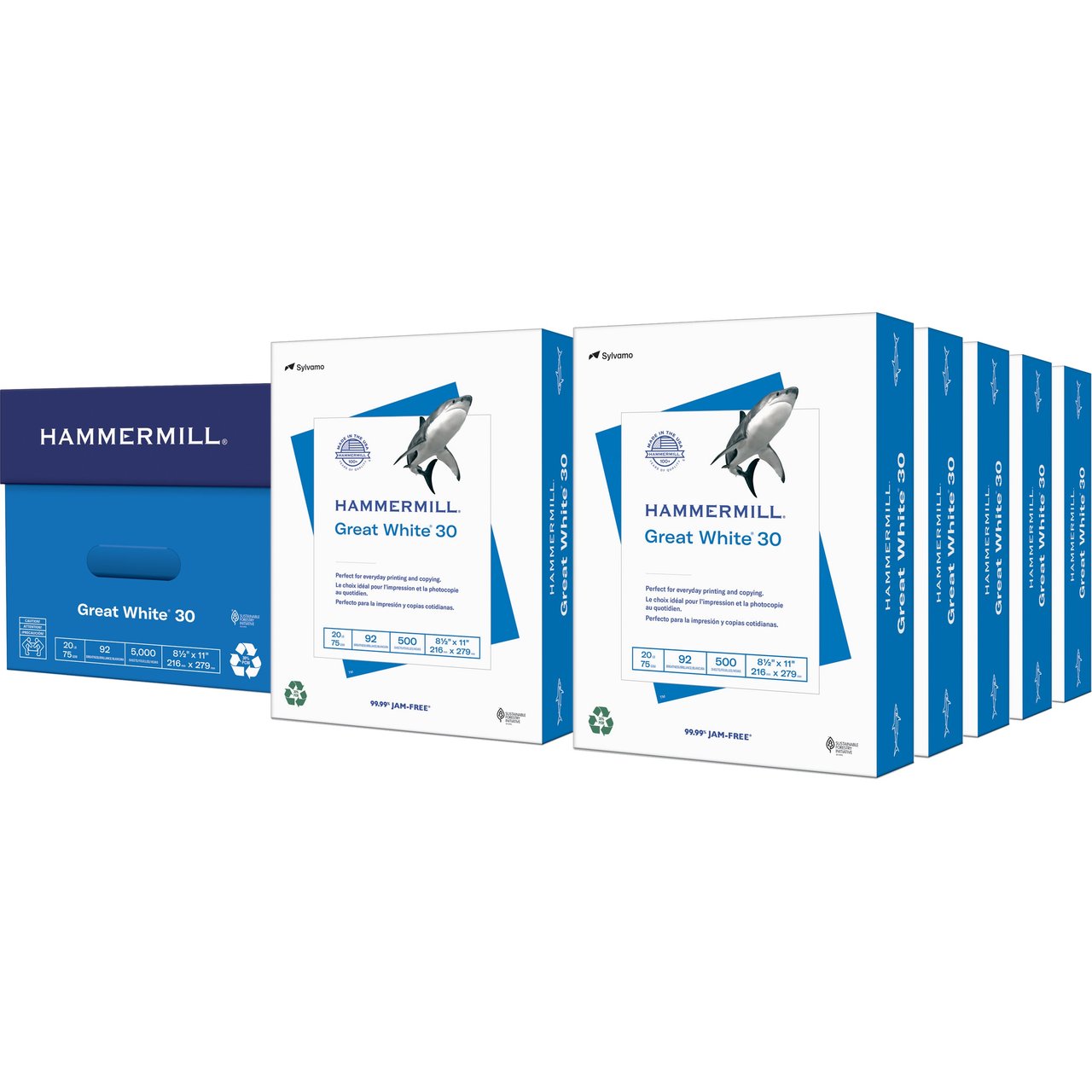 Hammermill Great White 30% Recycled Copy Paper, 8.5" x 11", 5000 Sheets ...
